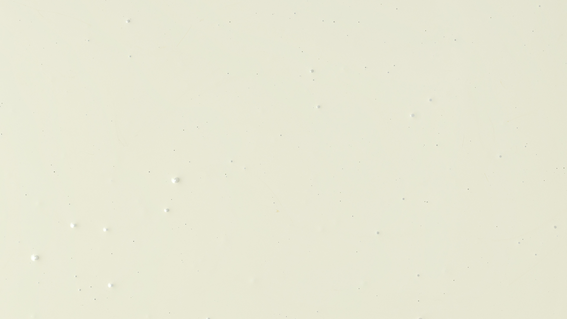 Light Green – Simply Colour. Painting, just easier.