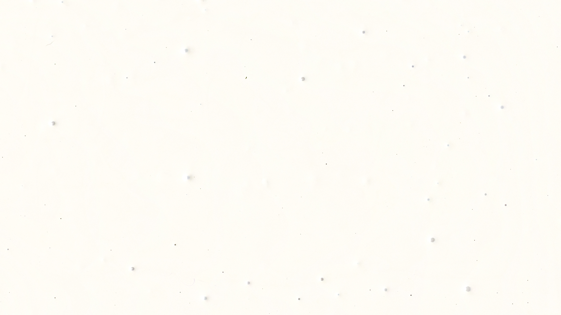 Off-White – Simply Colour. Painting, just easier.