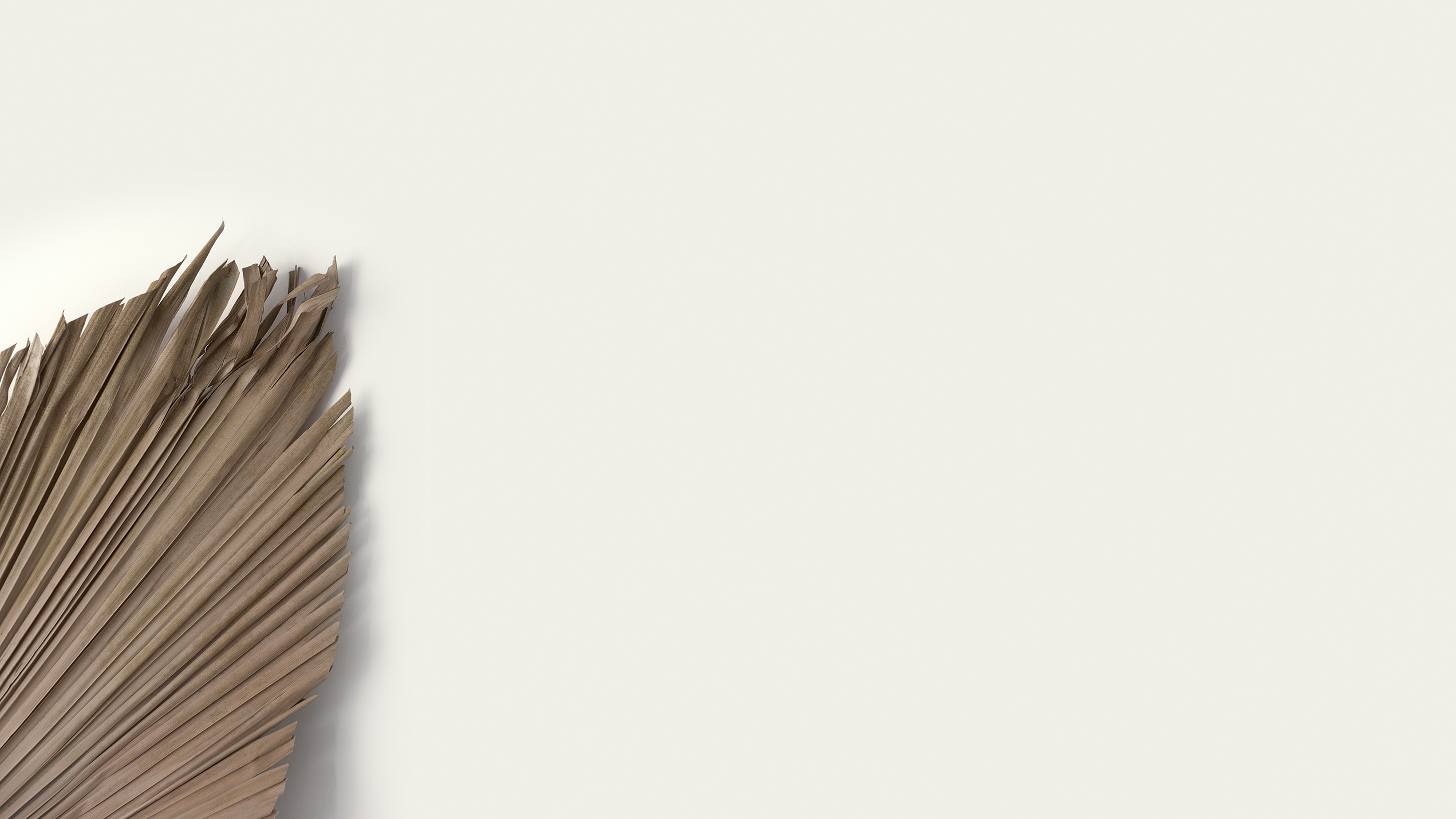 Blush Green – Simply Colour. Painting, just easier.