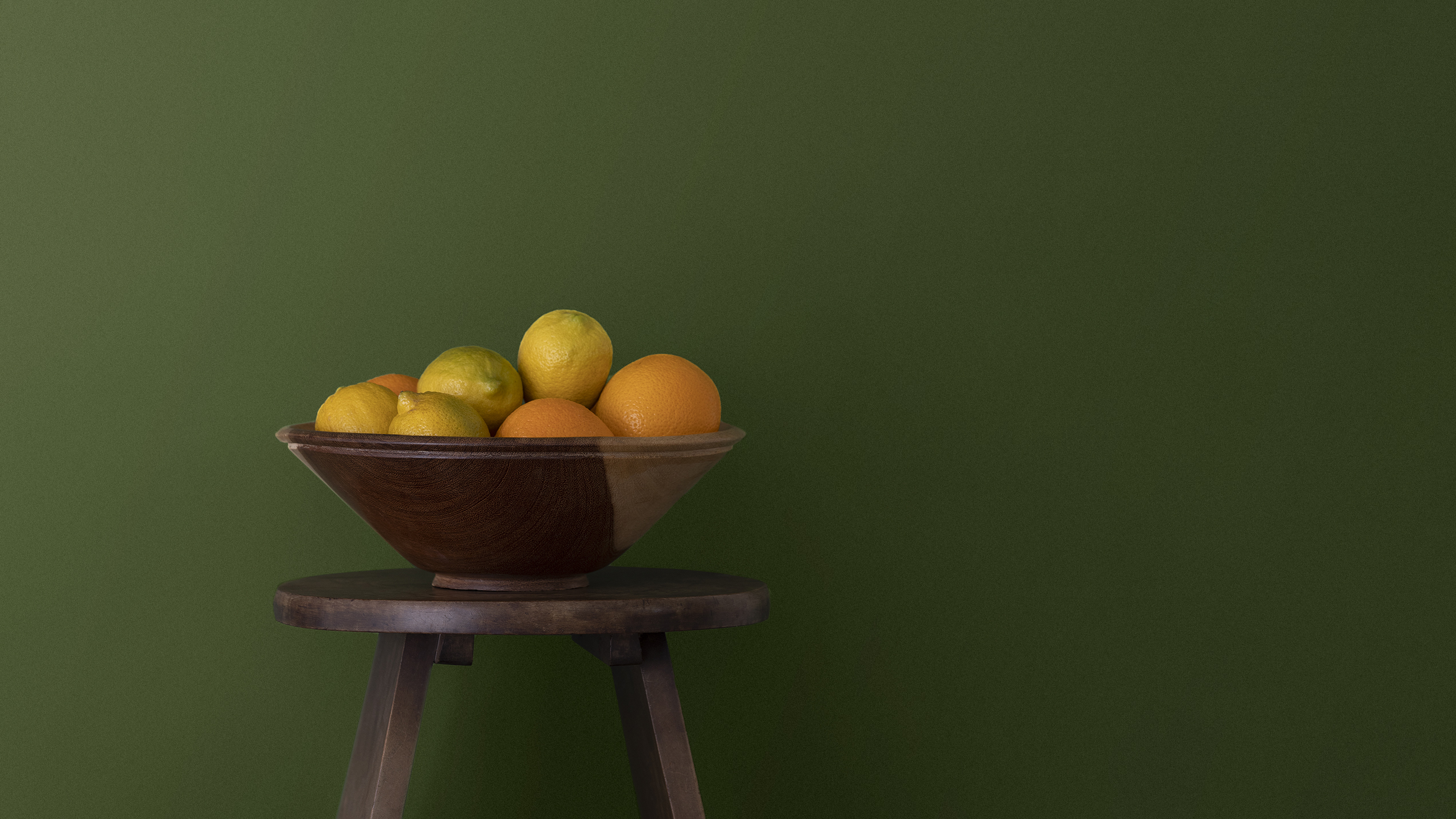Earthy Green – Simply Colour. Painting, just easier.