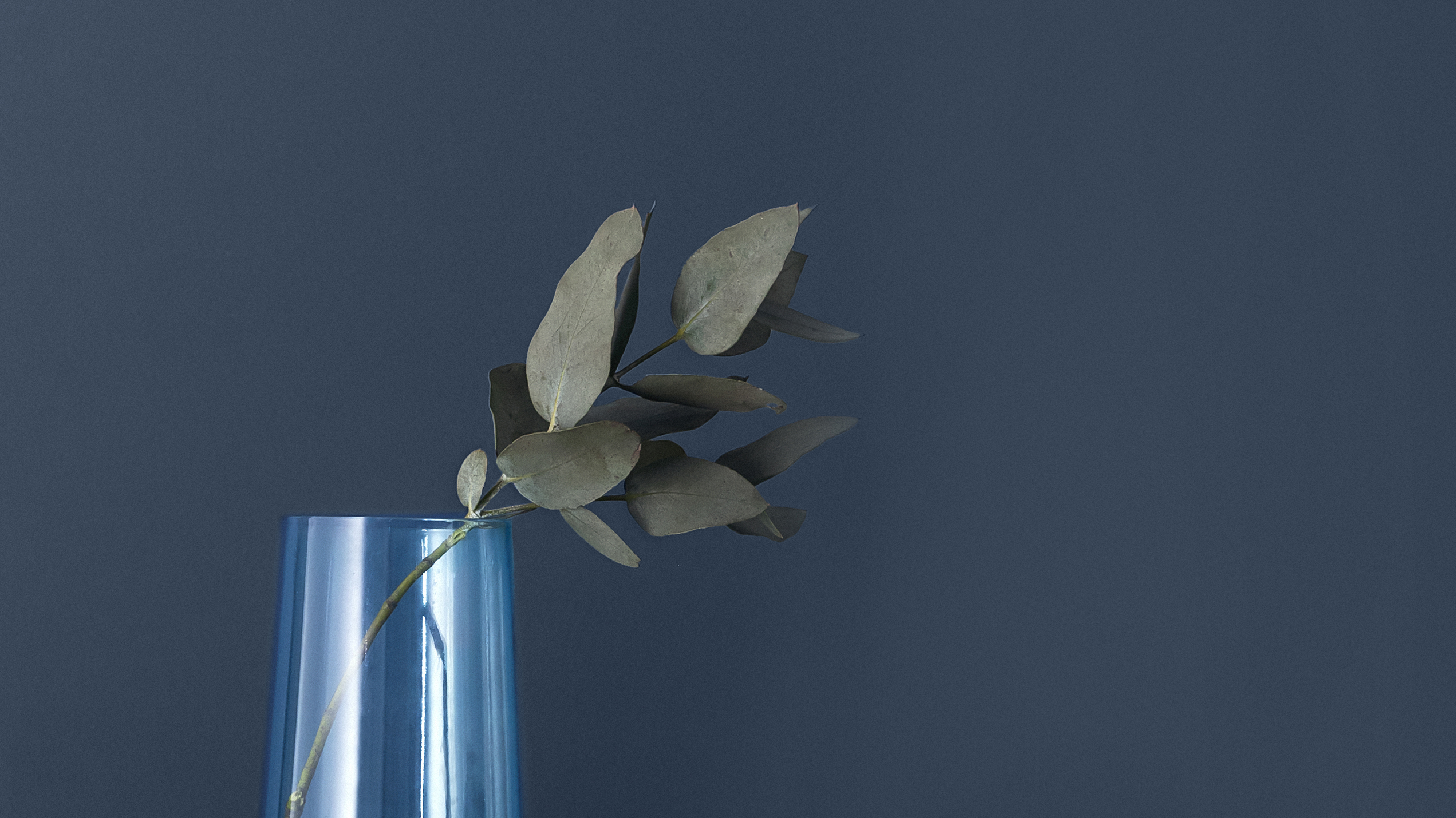 Mid Blue – Simply Colour. Painting, just easier.