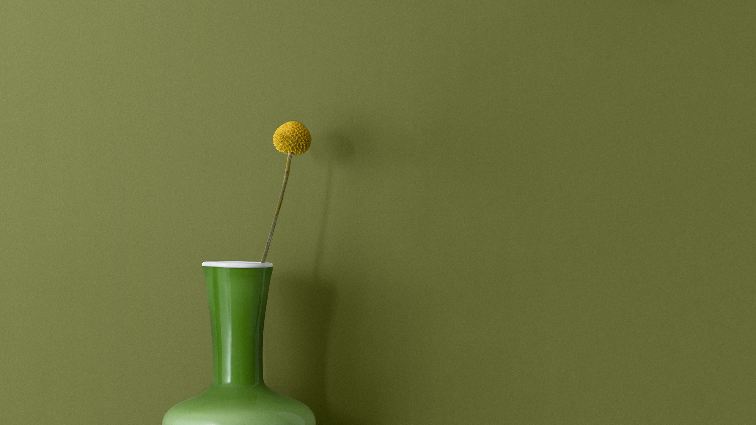 Mid Green – Simply Colour. Painting, just easier.