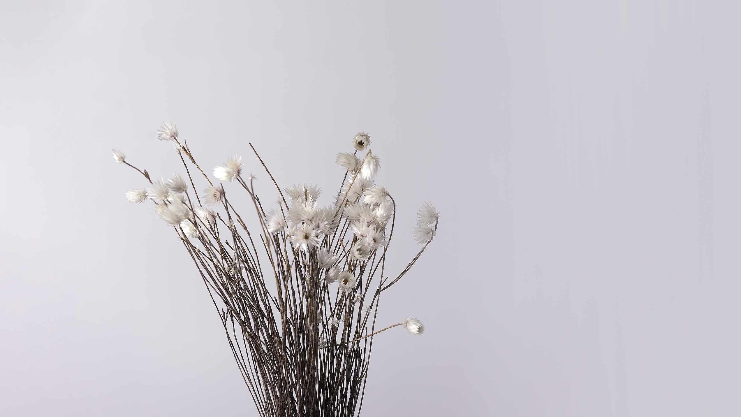 Pale Grey – Simply Colour. Painting, just easier.