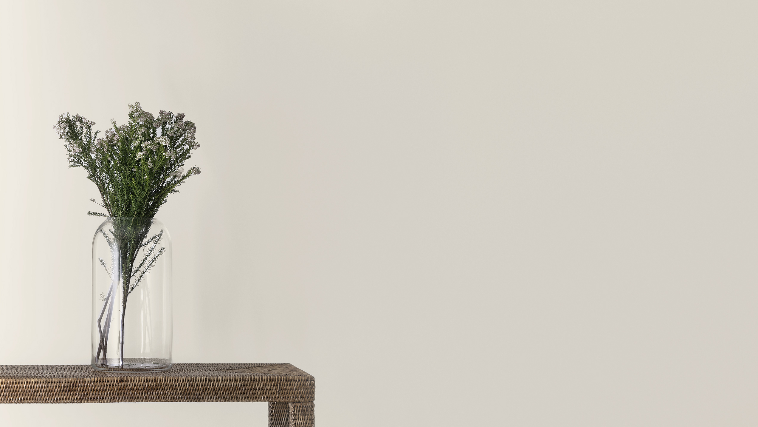 Sandy White – Simply Colour. Painting, just easier.