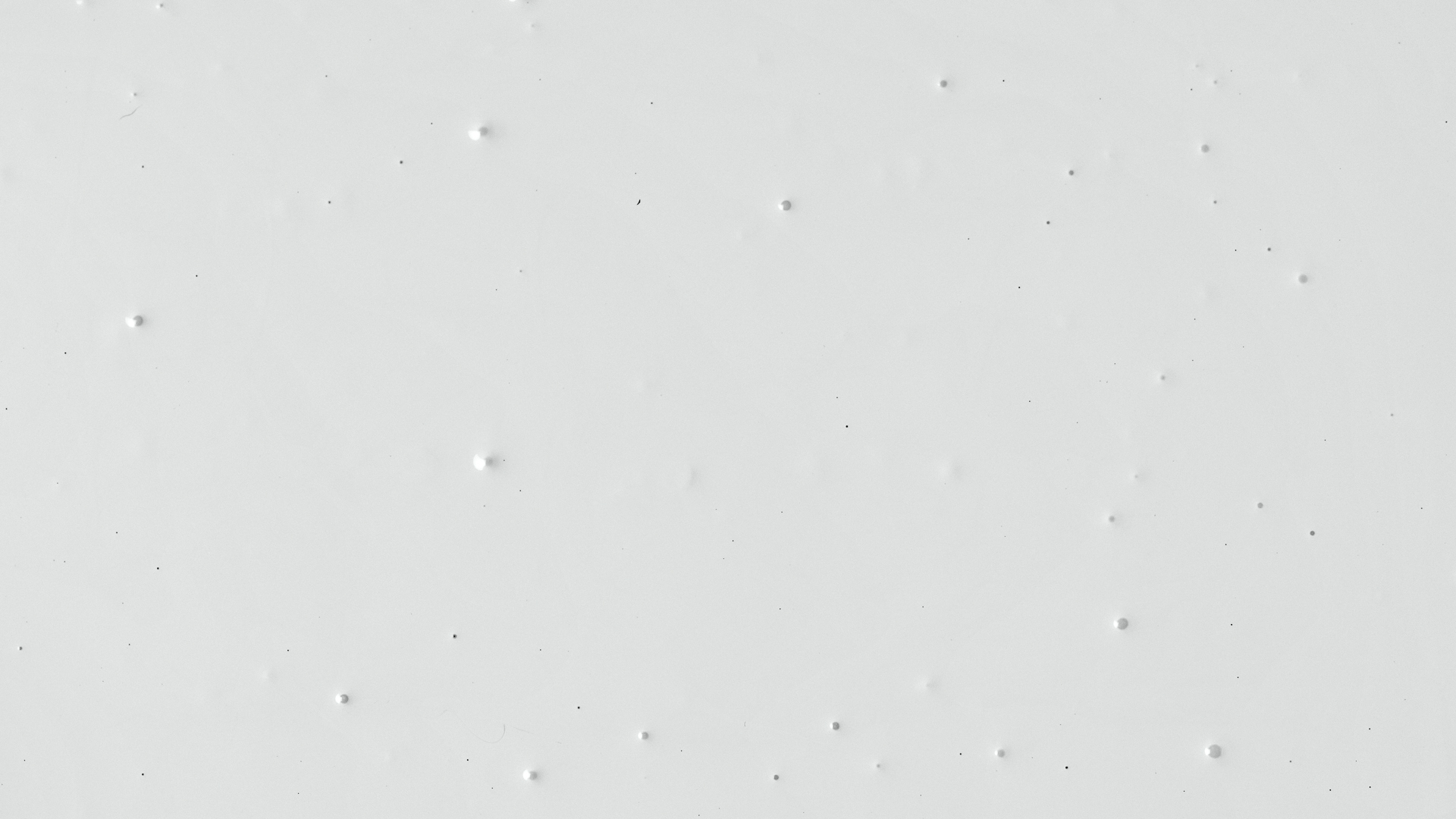 Cool White – Simply Colour. Painting, just easier.