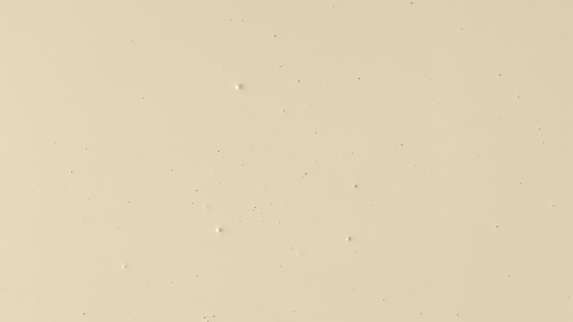 Light Yellow – Simply Colour. Painting, just easier.