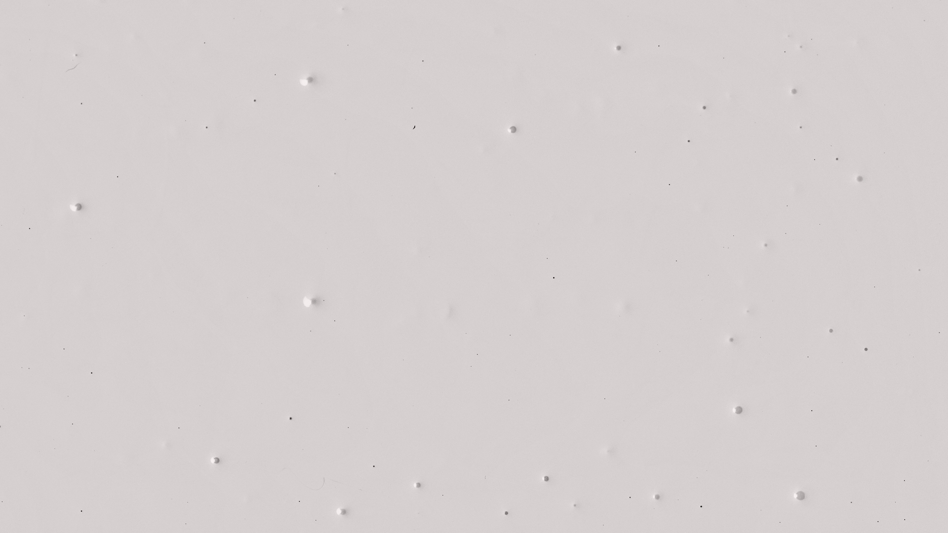 Greyish – Simply Colour. Painting, just easier.